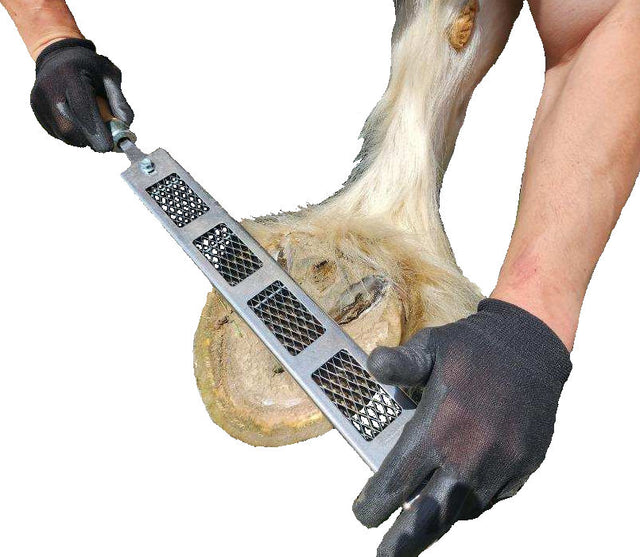 Dymondback Horse Hoof Rasp | Cody James Tools
